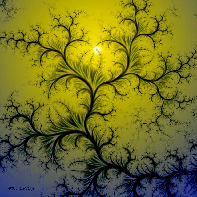 Gallery : Strange Plants