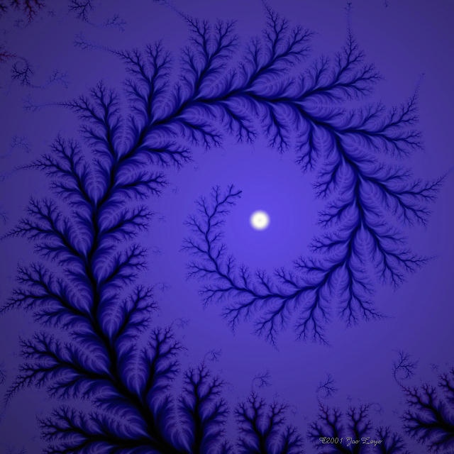 Gallery : Strange Plants