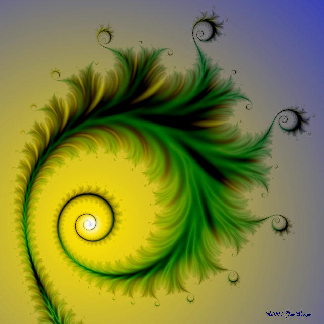 Gallery : Strange Plants