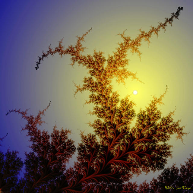 Gallery : Strange Plants