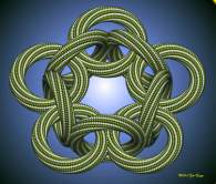 Gallery : Frivolous mathematical surfaces