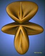 Gallery : Frivolous mathematical surfaces