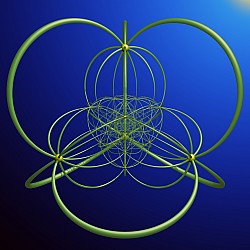 Gallery : 4D Polychora