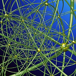 Gallery : 4D Polychora