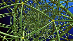 Gallery : 4D Polychora